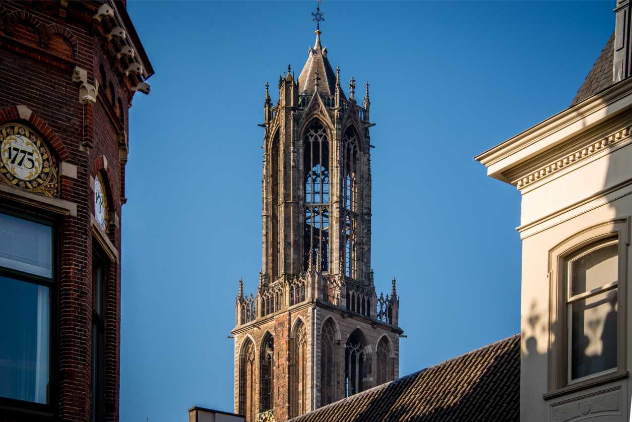 Dit is hoe we de Utrechtse bodem gezond houden | UTRECHT BOUWT